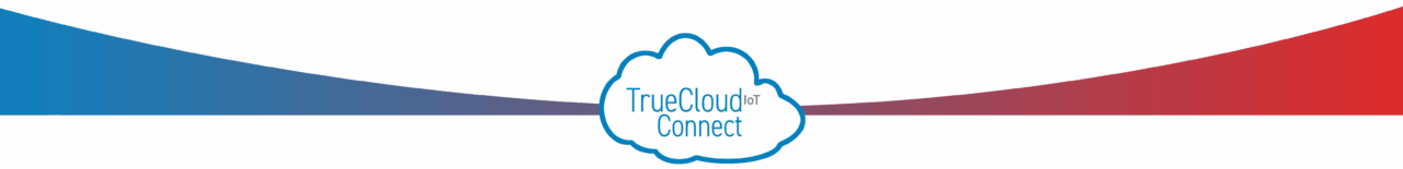 TrueCloud Connect | Cloud Access Management Platform
