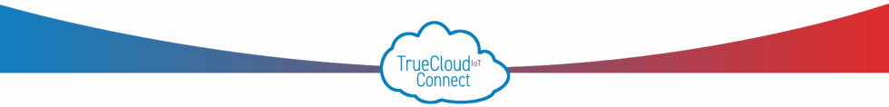 TrueCloud Connect | Cloud Access Management Platform